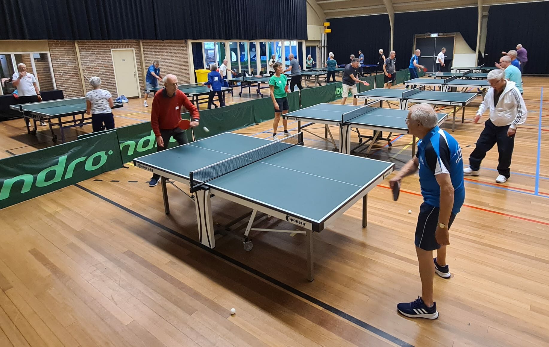 Het succes van OldStars - OldStars